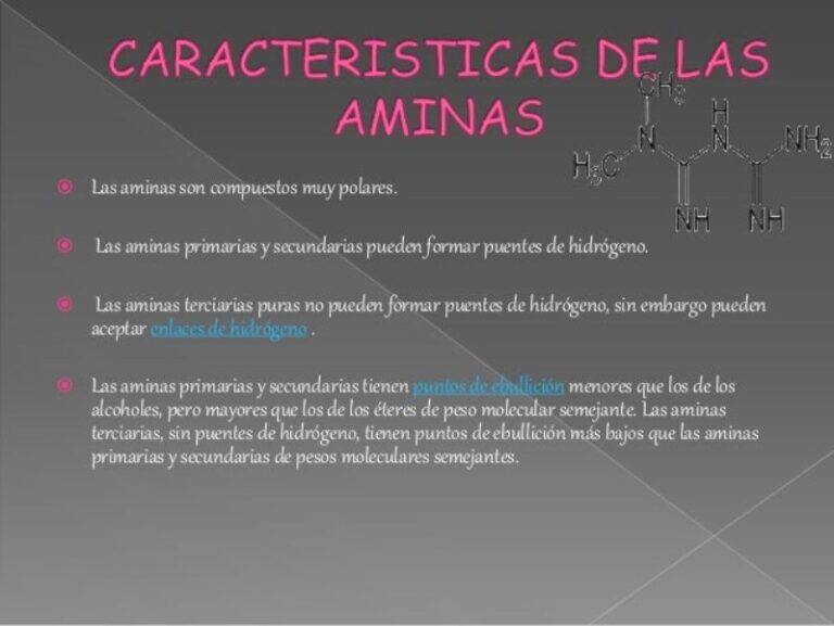 Aminas: Compuestos Orgánicos Multifacéticos
