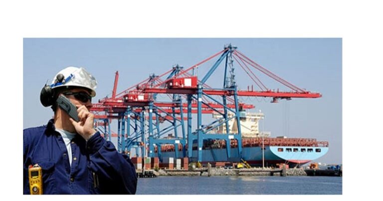 La protección portuaria: un pilar de la seguridad marítima