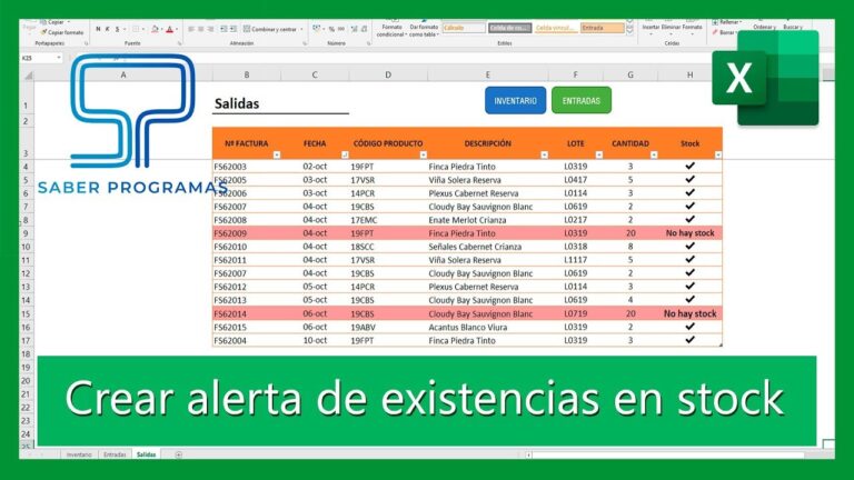 Domina el control de lotes en Excel: Guía completa y práctica